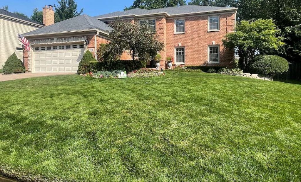 Emerald Lawn Care Launches End-of-Summer Overseeding and Liquid ...